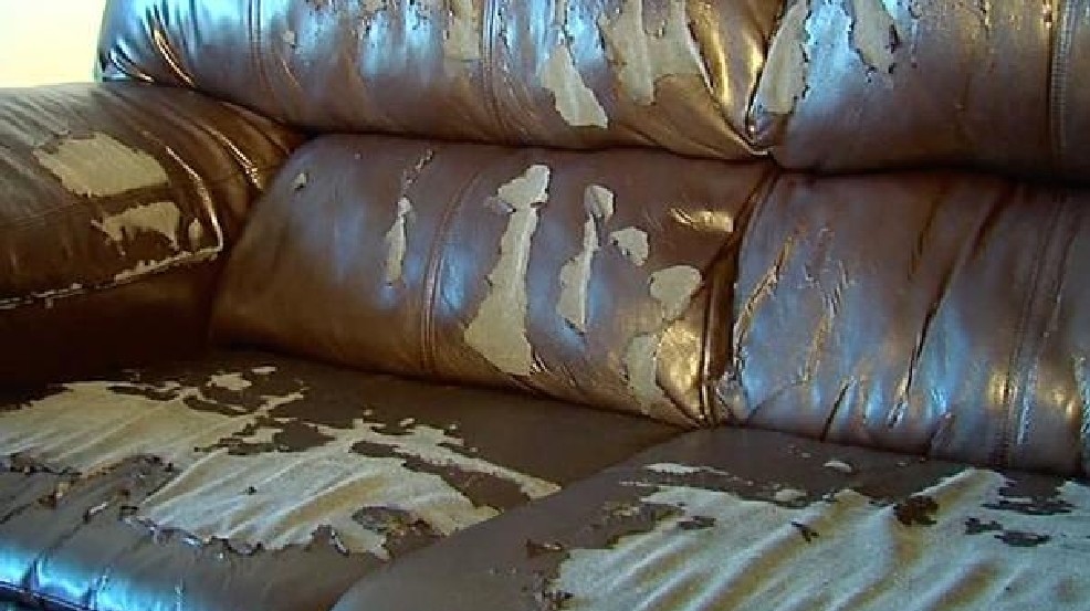 6 Common Problems With Leather Furniture: How to Avoid and Treat Them